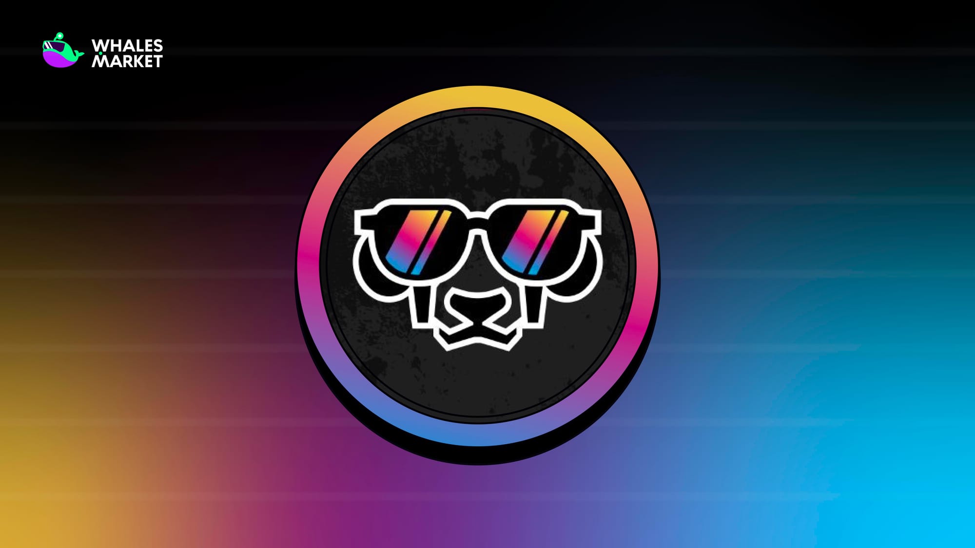 What is Printr Launchpad? Multi-Chain Token Launchpad