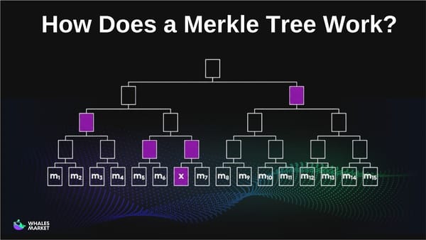 Merkle Tree Definition: Primary use of a Merkle Tree in Blockchain